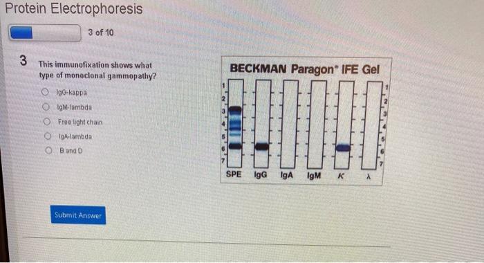 Protein Electrophoresis 3 of 10 3 BECKMAN Paragon IFE | Chegg.com