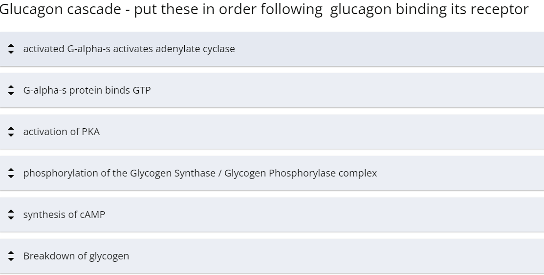 Solved Glucagon cascade - put these in order following | Chegg.com