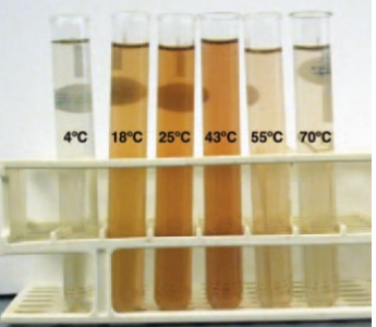 Effect of temperature on enzyme activity. This | Chegg.com