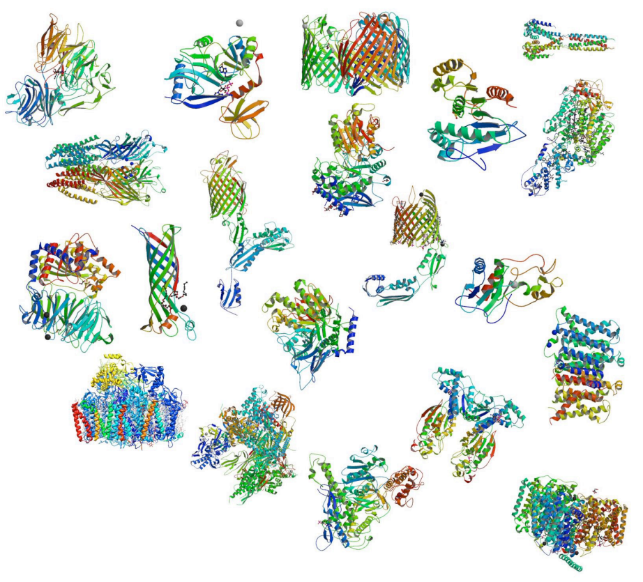 Solved 10 of these are soluble proteins and 10 are integral | Chegg.com