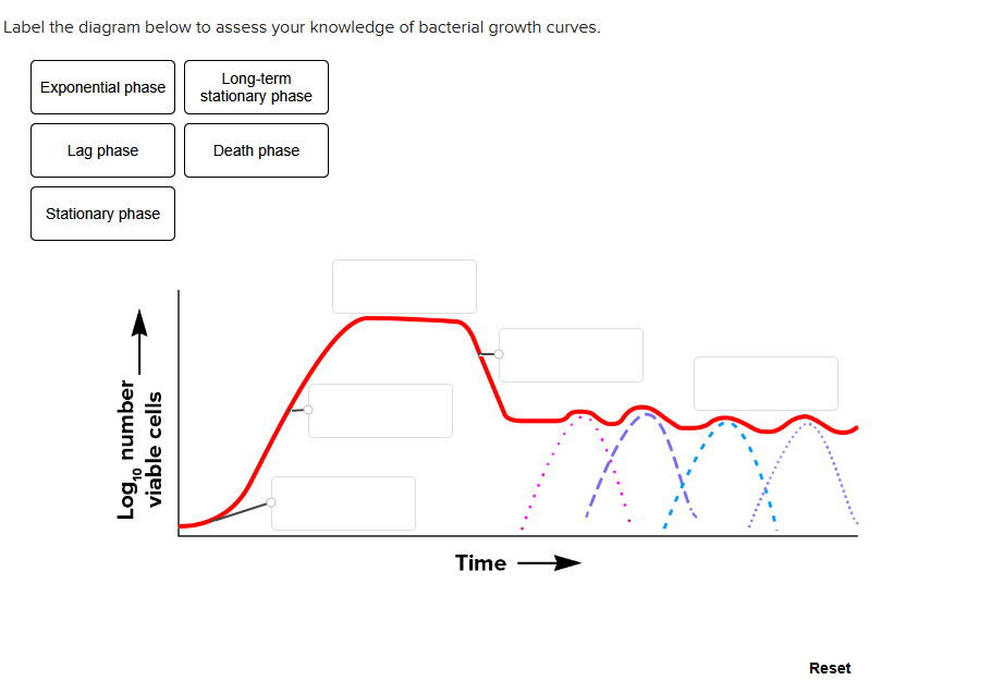 Solved An experiment was done to determine the decimal | Chegg.com