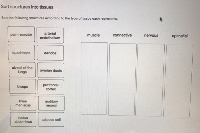 Solved Sort the following structures according to the type | Chegg.com
