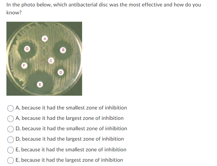 Solved In the photo below, which antibacterial disc was the | Chegg.com