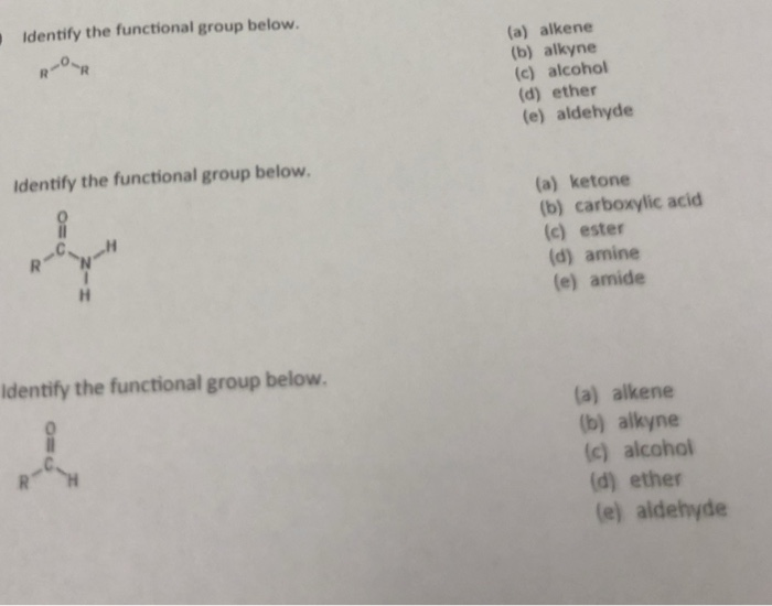 Solved Identify the functional group below. (a) alkene (b) | Chegg.com