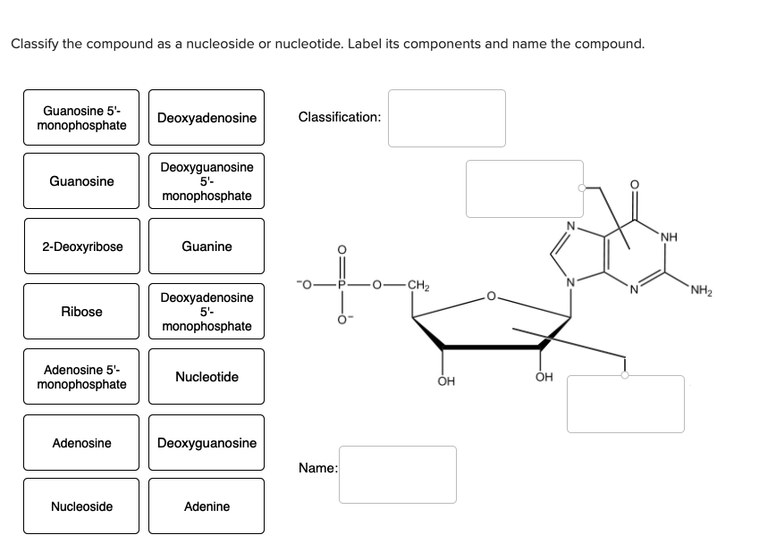 Solved Classify the compound as a nucleoside or nucleotide. | Chegg.com