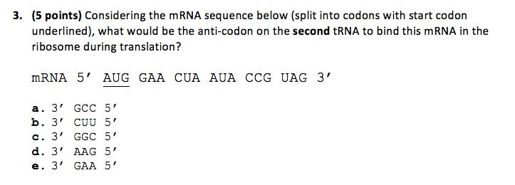 Solved 3. (5 points) Considering the mRNA sequence below | Chegg.com