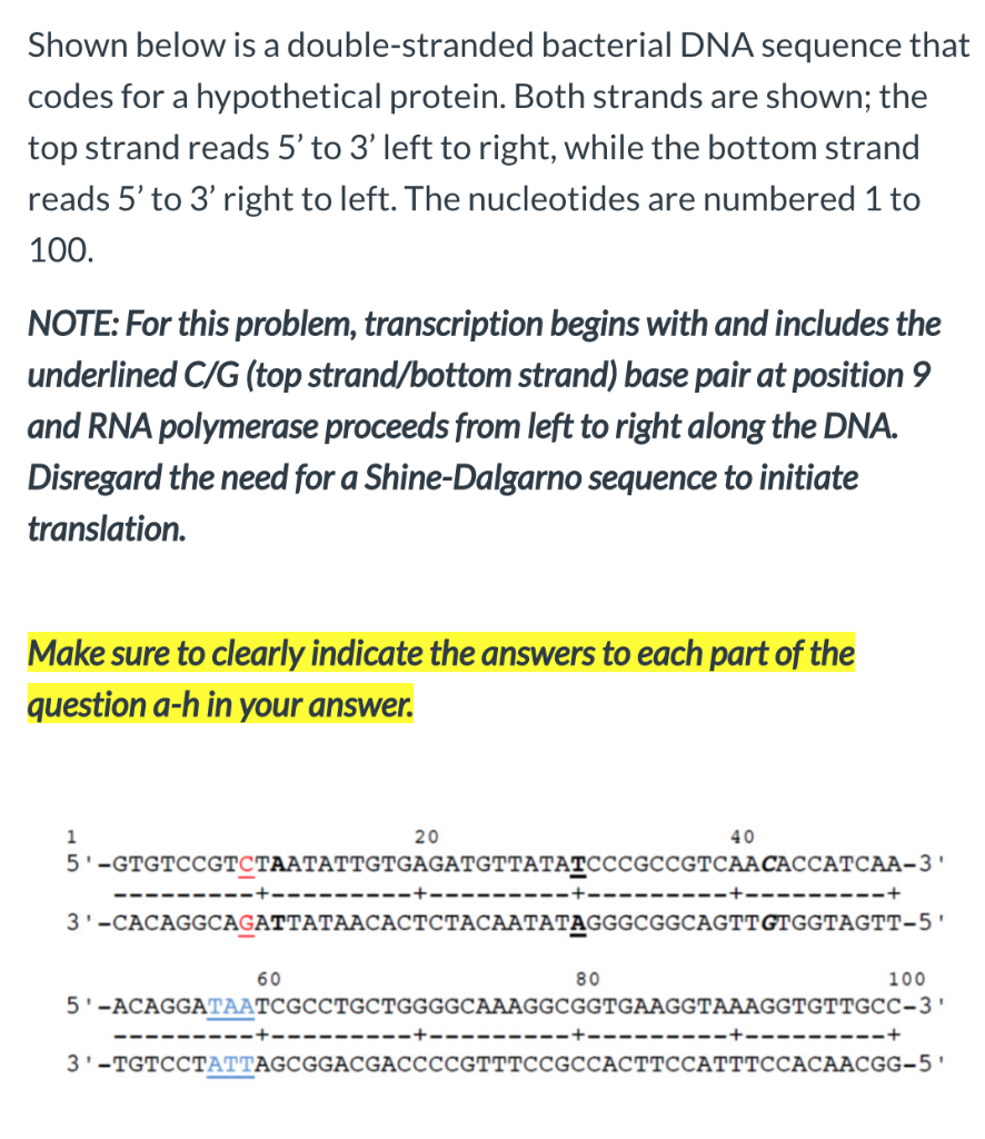 Solved Shown below is a double-stranded bacterial DNA | Chegg.com