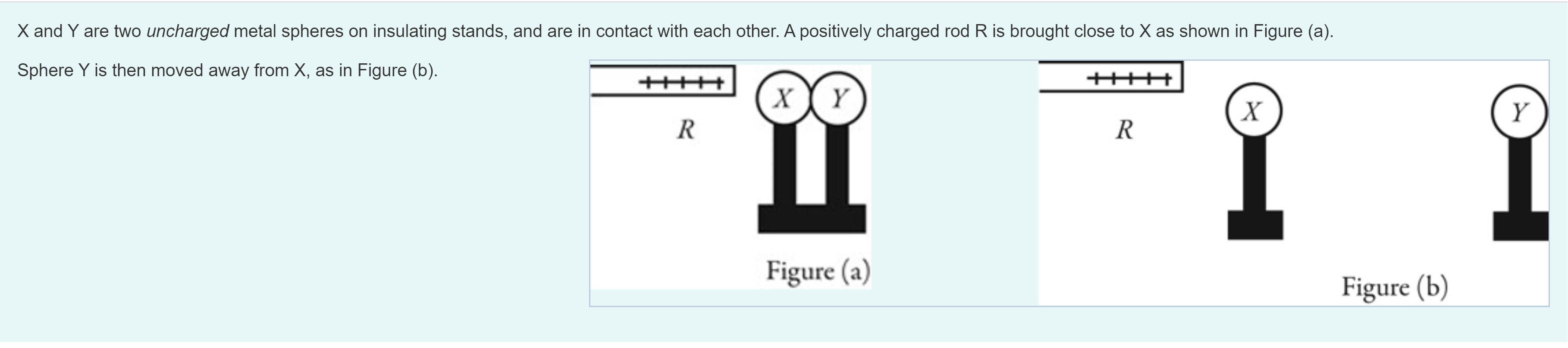 Solved What are the final charge states of X and Y? Both | Chegg.com