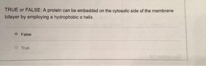 Solved TRUE or FALSE: A protein can be embedded on the | Chegg.com