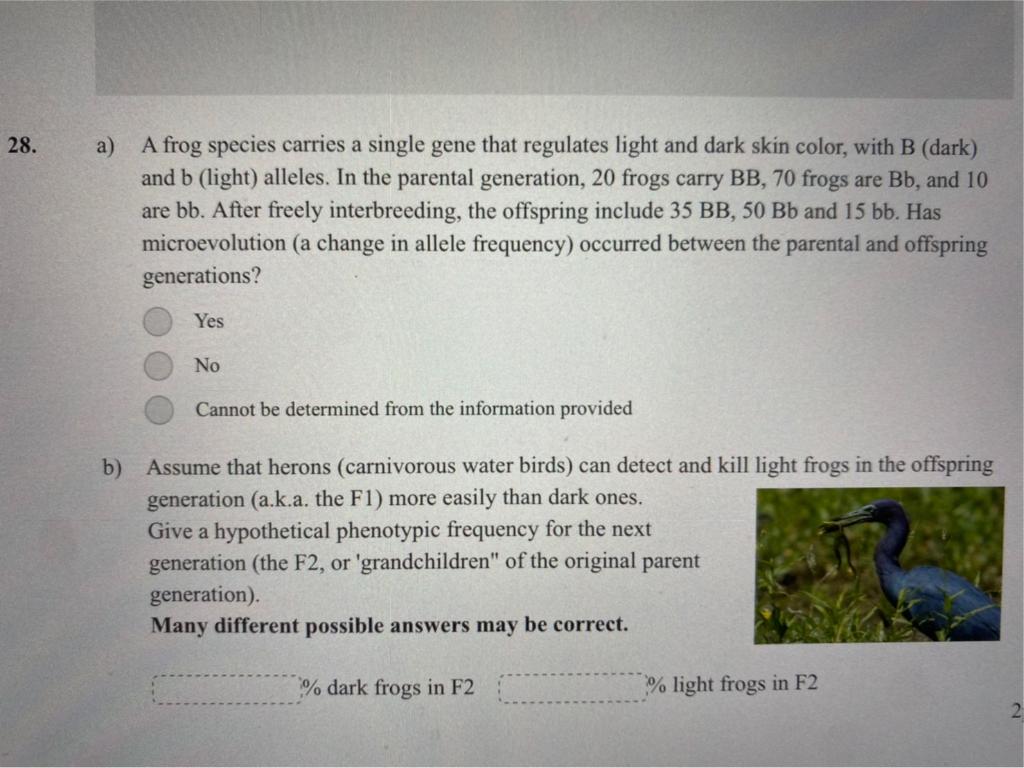 Solved 28. a) A frog species carries a single gene that | Chegg.com