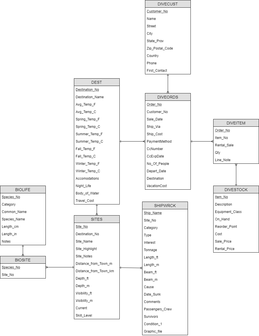 Solved Using the DiveShop database, create a single query | Chegg.com