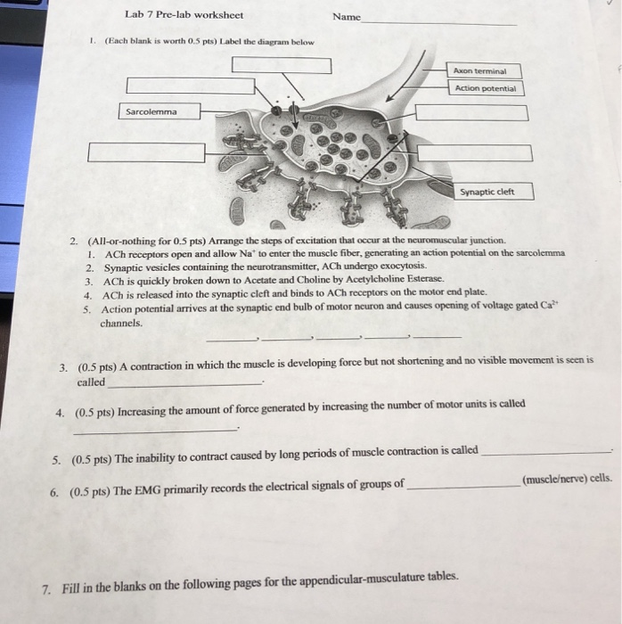 Solved Lab 7 Pre-lab worksheet Name I. (Each blank is worth | Chegg.com