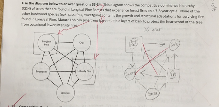 Solved Use the diagram below to answer questions 33-34., | Chegg.com