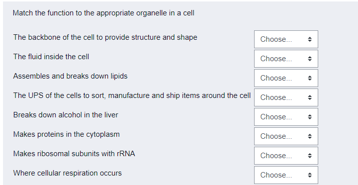 Solved Match the function to the appropriate organelle in a | Chegg.com