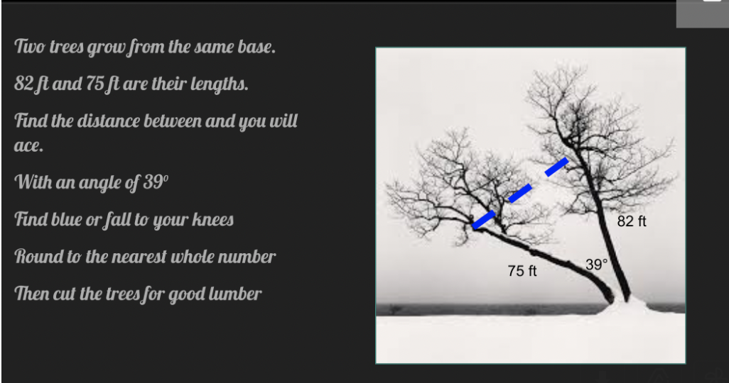 Solved Two trees grow from the same base. 82 ft and 75 ft | Chegg.com