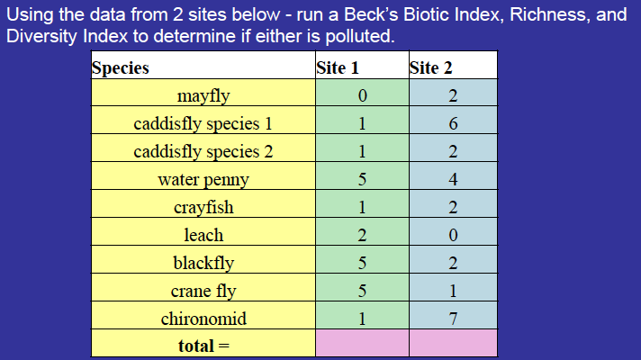 Using the data from 2 sites below - run a Beck's | Chegg.com
