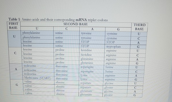 Solved file:///C/Users/coxho/AppData/Local/Packages | Chegg.com
