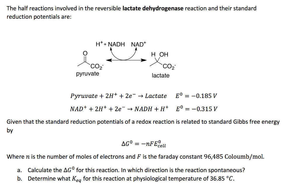 Solved The half reactions involved in the reversible lactate | Chegg.com
