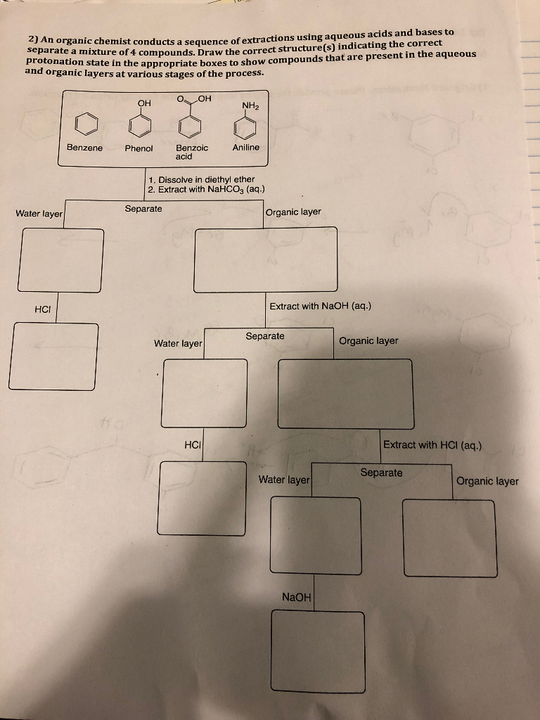 Solved 2) A separate a mixture of protonation state in the | Chegg.com