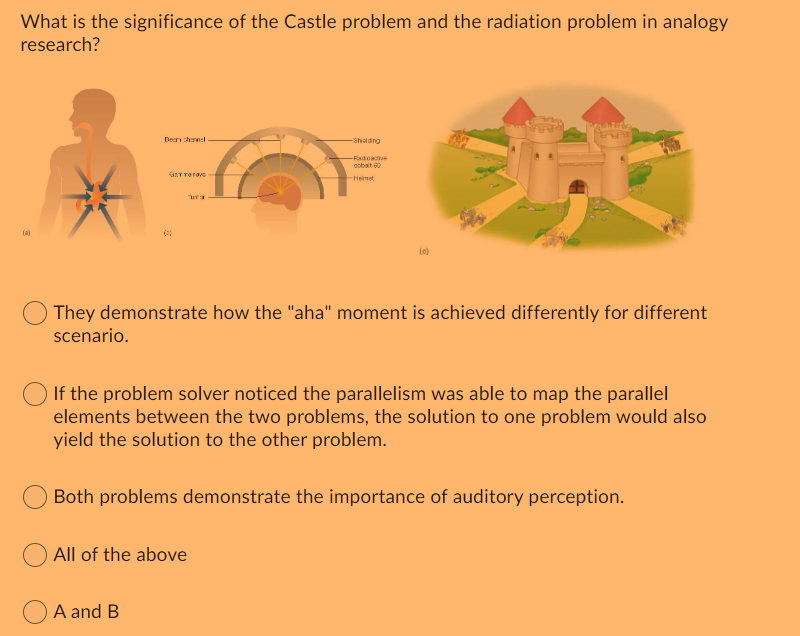 Solved What is the significance of the Castle problem and | Chegg.com