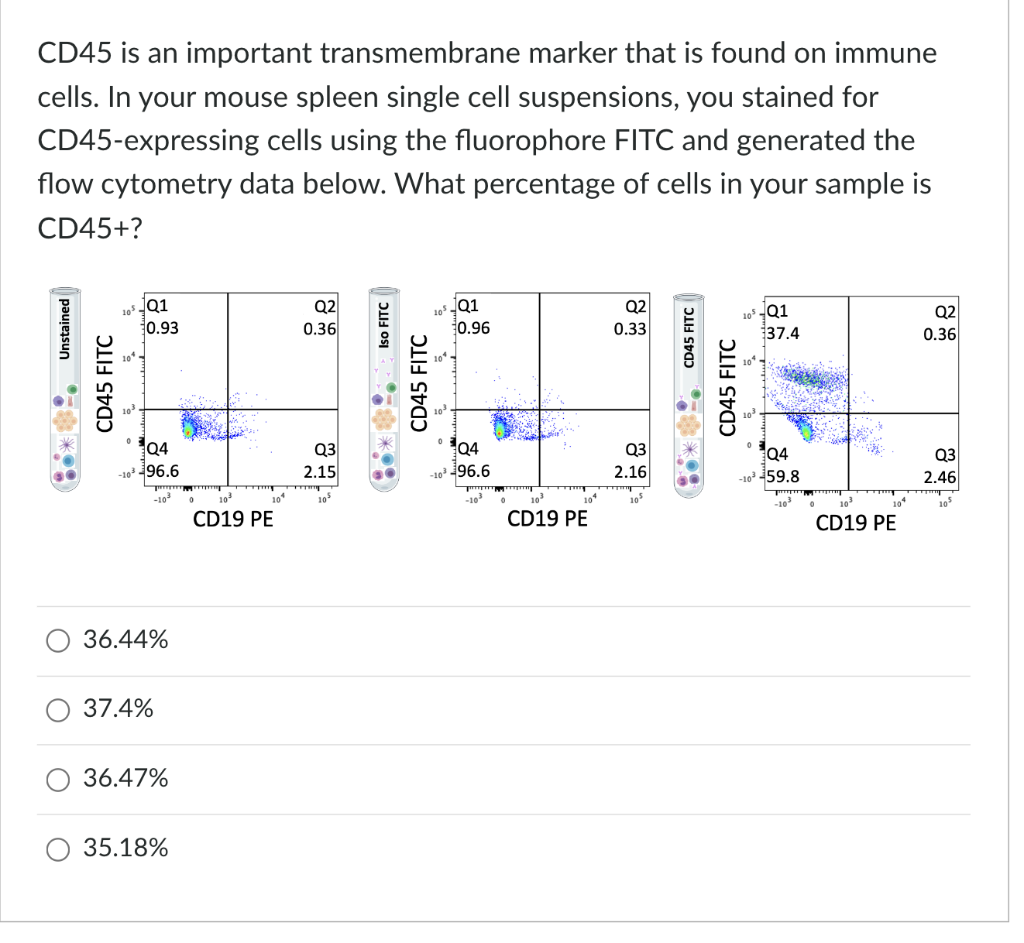 Solved CD45 is an important transmembrane marker that is | Chegg.com
