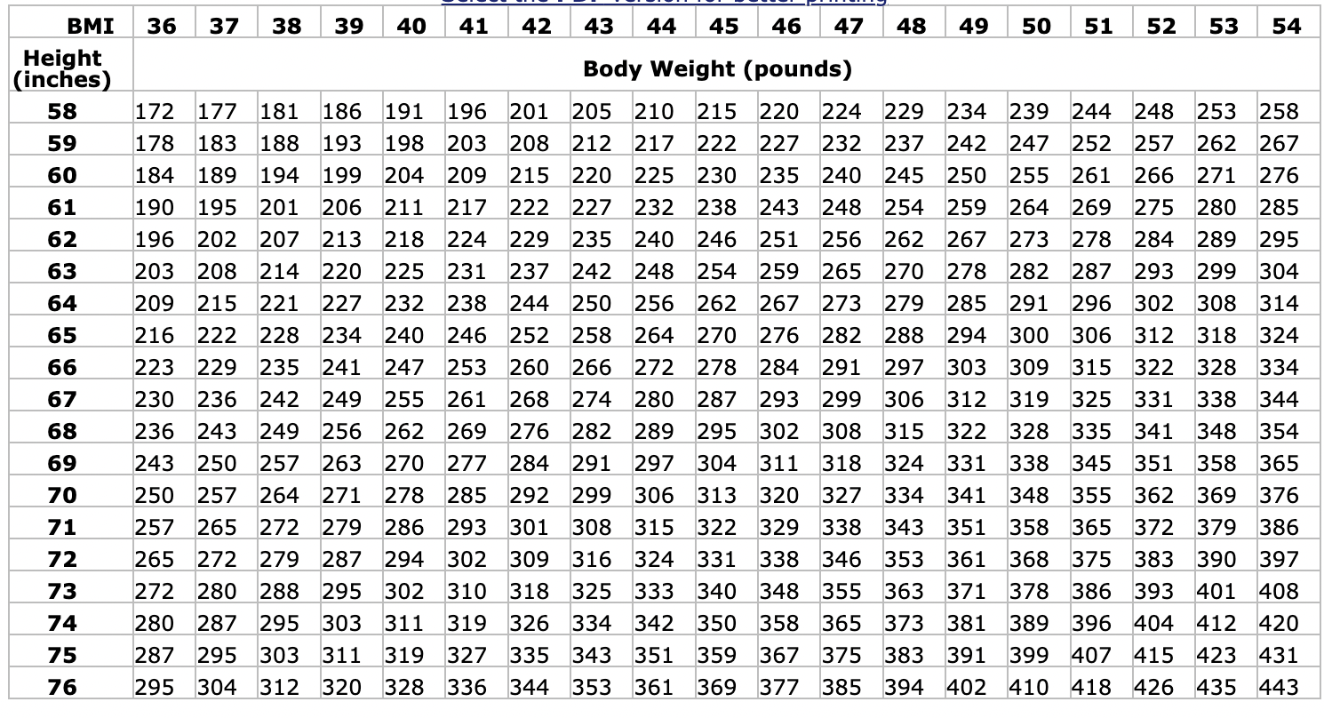 Solved In C++ create a program that lets the user input | Chegg.com