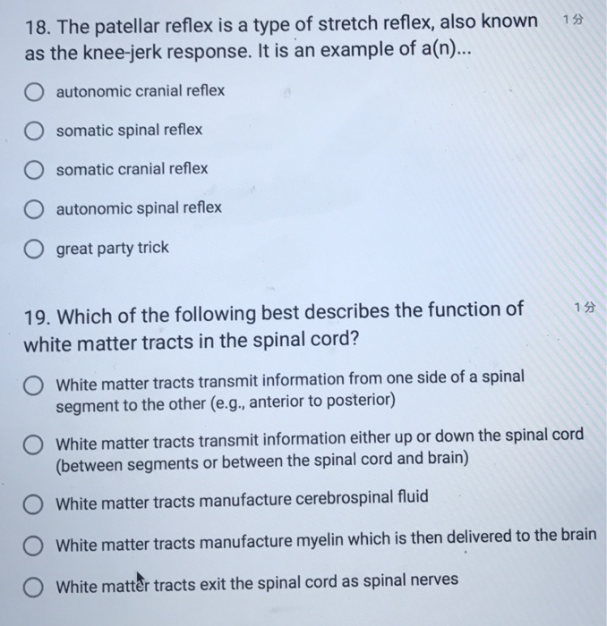 Solved 18. The patellar reflex is a type of stretch reflex, | Chegg.com