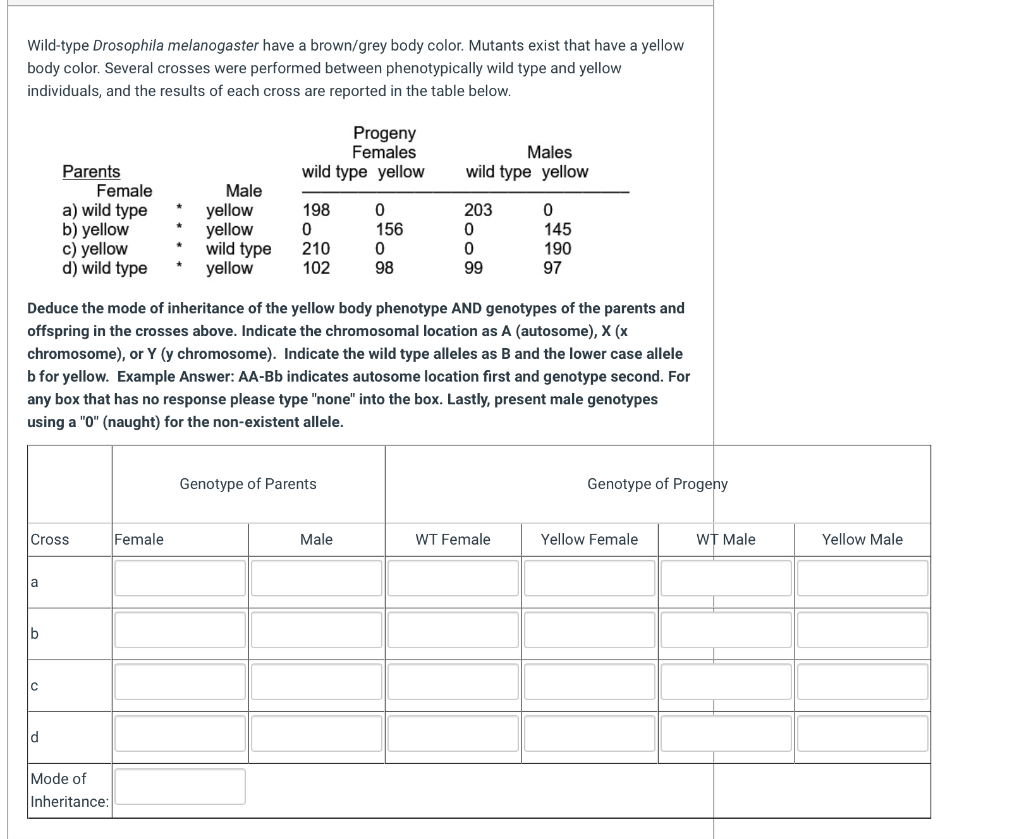 Solved Wild-type Drosophila melanogaster have a brown/grey | Chegg.com