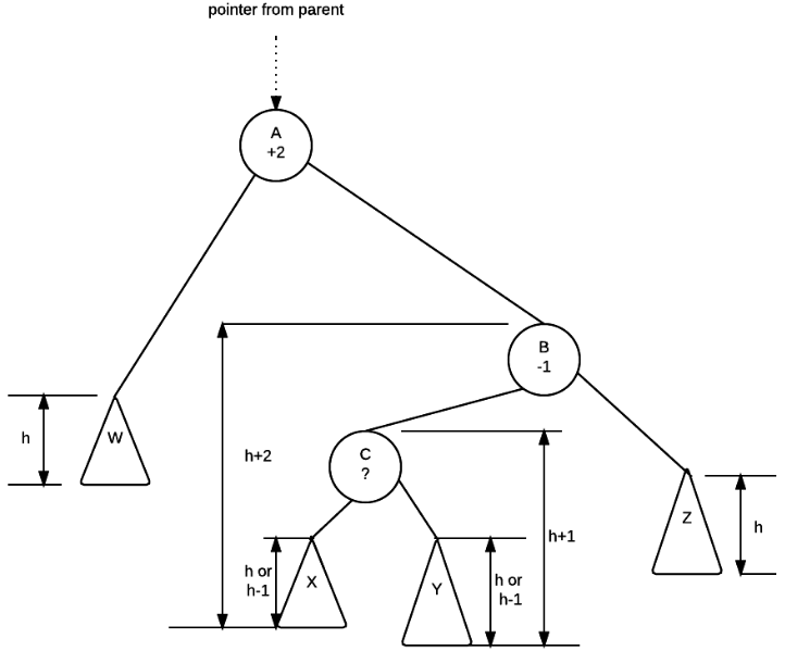 Solved pointer from parent A +2 B -1 w h+2 с ? N h h+1 hor | Chegg.com