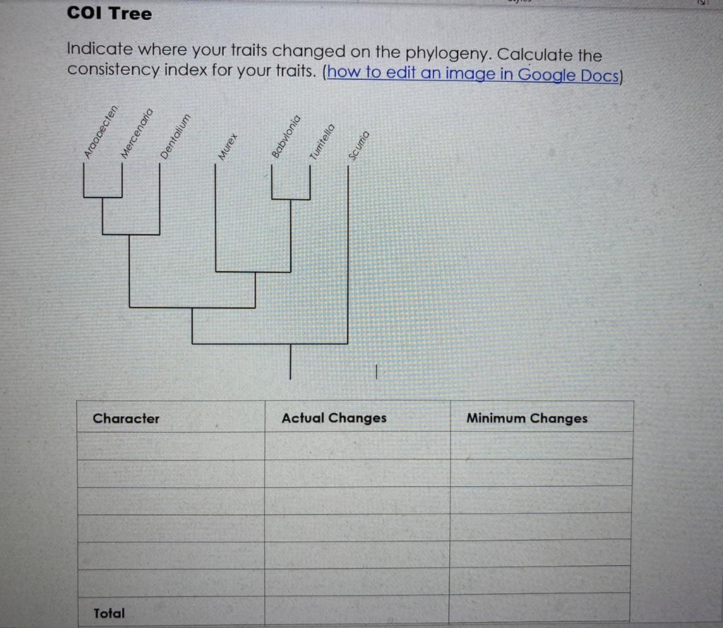 Below are two cladograms. The first is generated | Chegg.com
