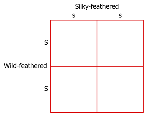 Solved In fowls, there are two types of feathers, silky and | Chegg.com