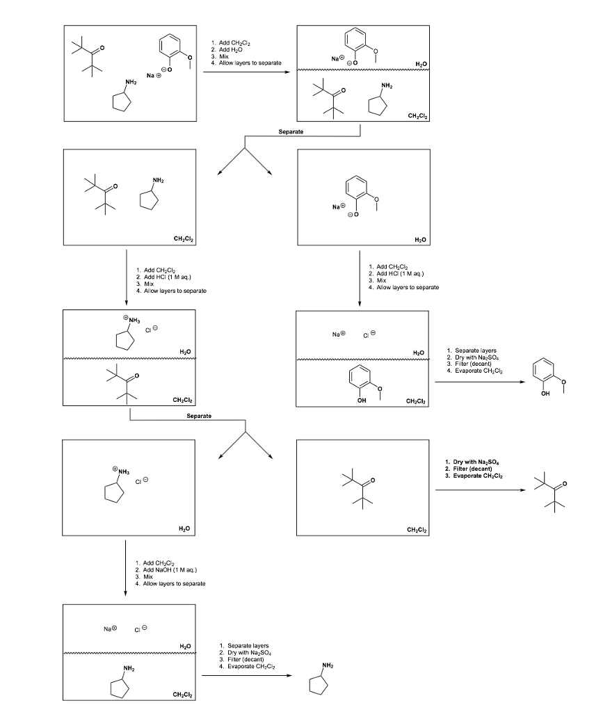 Solved Propose an Extraction Flowchart capable of separating | Chegg.com