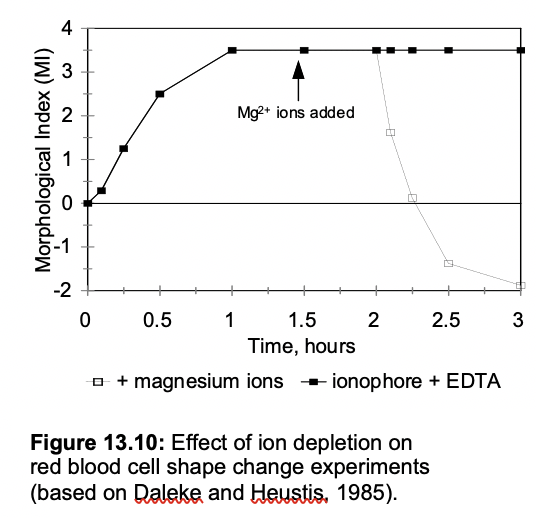 Please Answer Questions 1-6. Case 13- A “Flippase” | Chegg.com