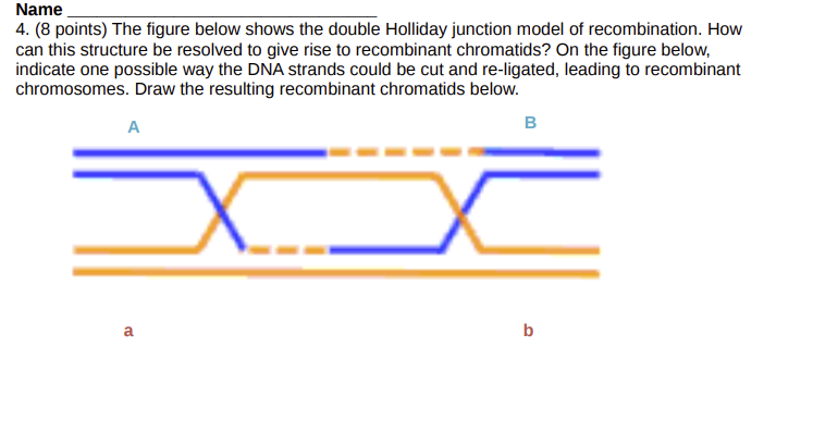 4. (8 points) The figure below shows the double | Chegg.com