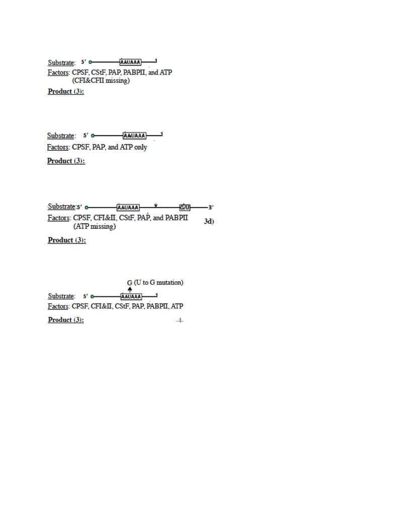 Solved Question 9. The following factors play critical roles | Chegg.com