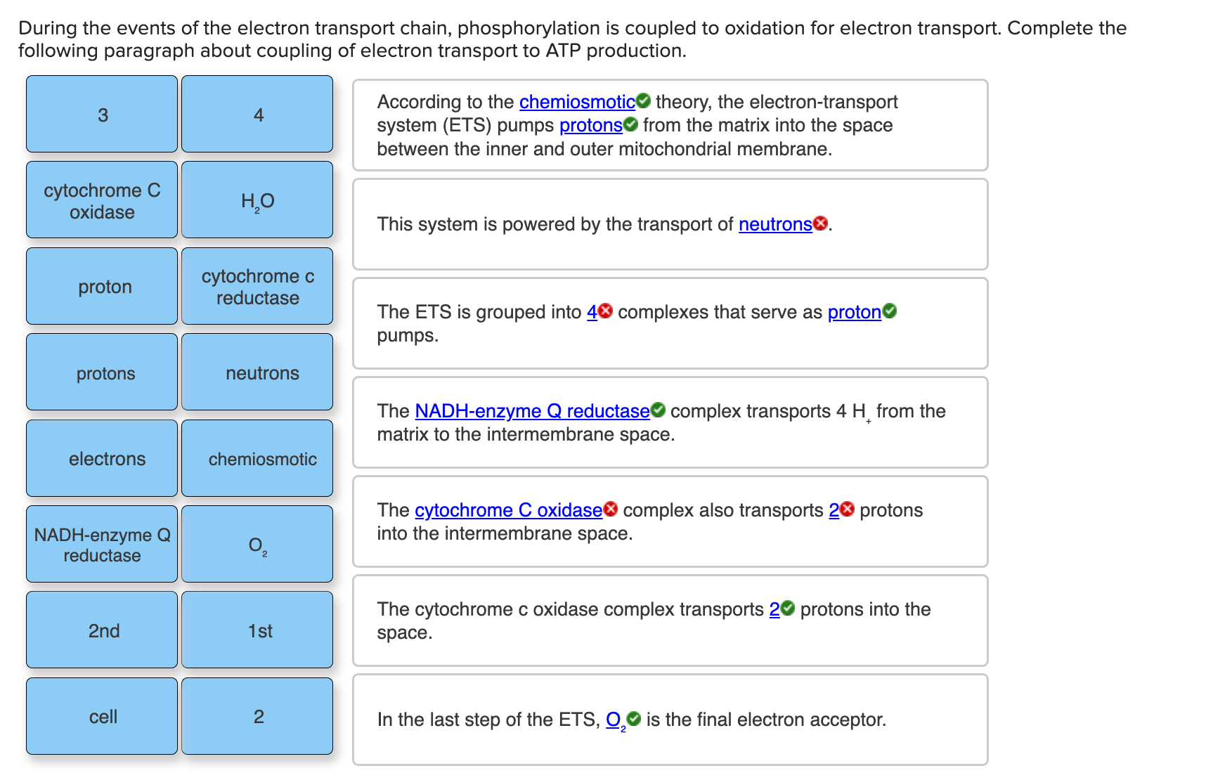 Solved During the events of the electron transport chain, | Chegg.com