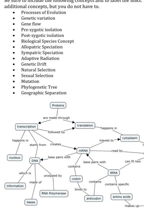 Create A Concept Map Using The Following Terms - Oconto County Plat Map