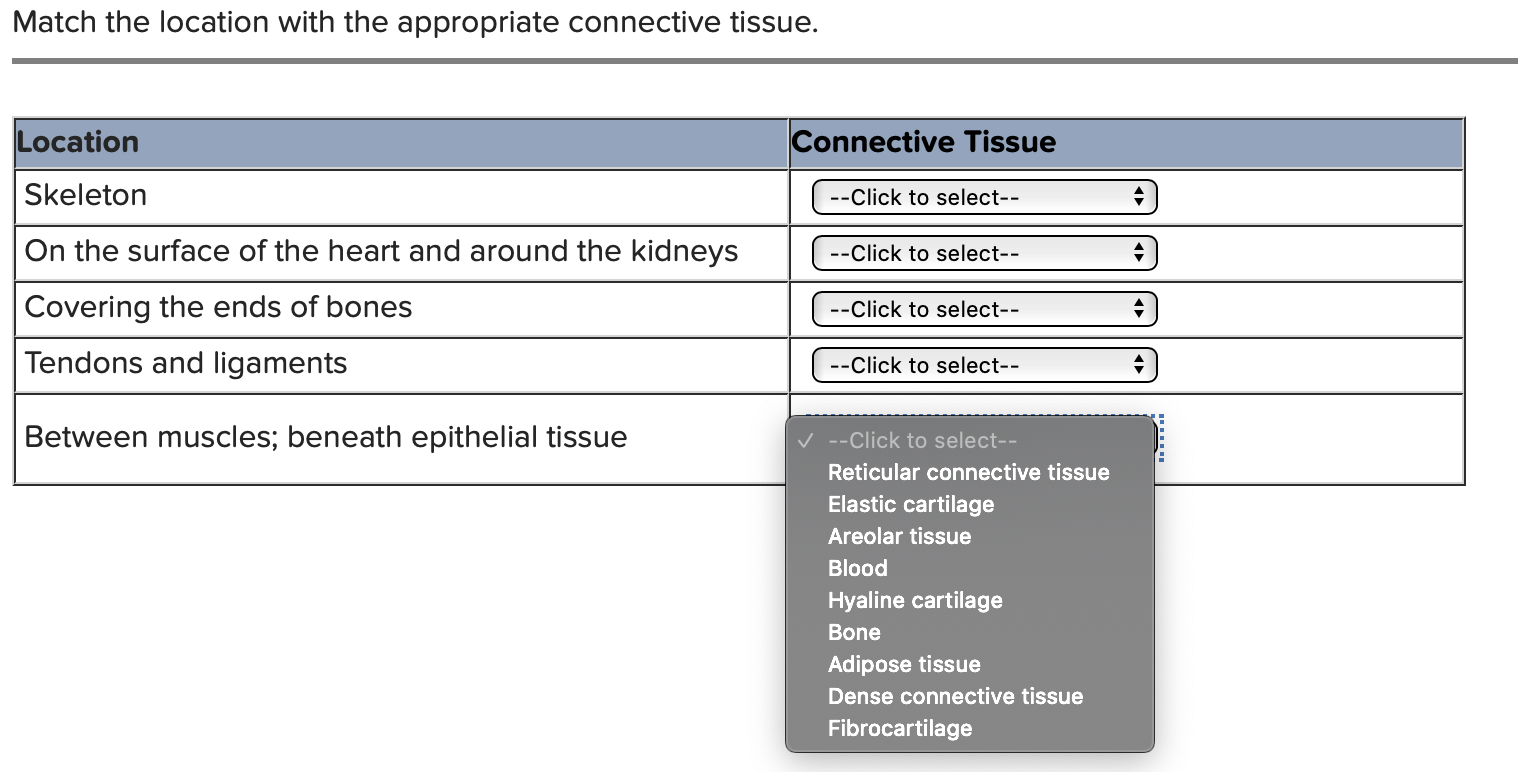 Solved Match the location with the appropriate connective | Chegg.com