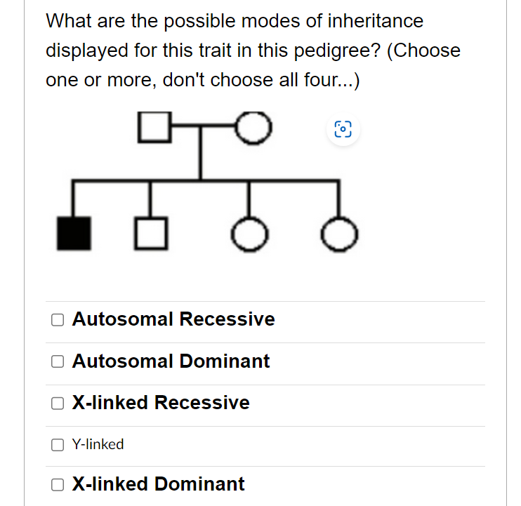Solved What are the possible modes of inheritance displayed | Chegg.com