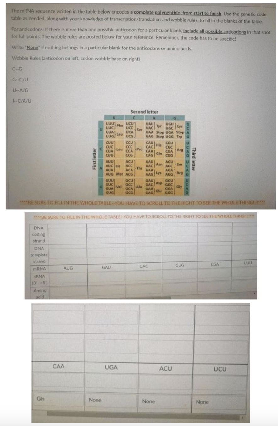 Solved The mRNA sequence written in the table below encodes | Chegg.com