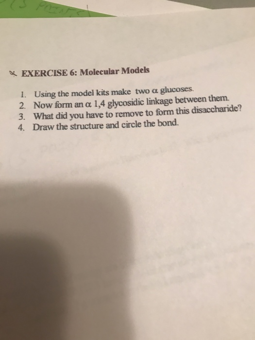 Solved EXERCISE 6: Molecular Models I. Using the model kits | Chegg.com