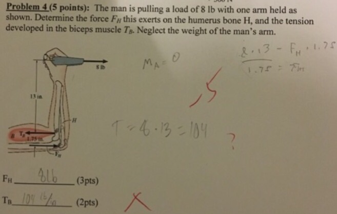 Solved The man is pulling a load of 8 lb with one arm held | Chegg.com