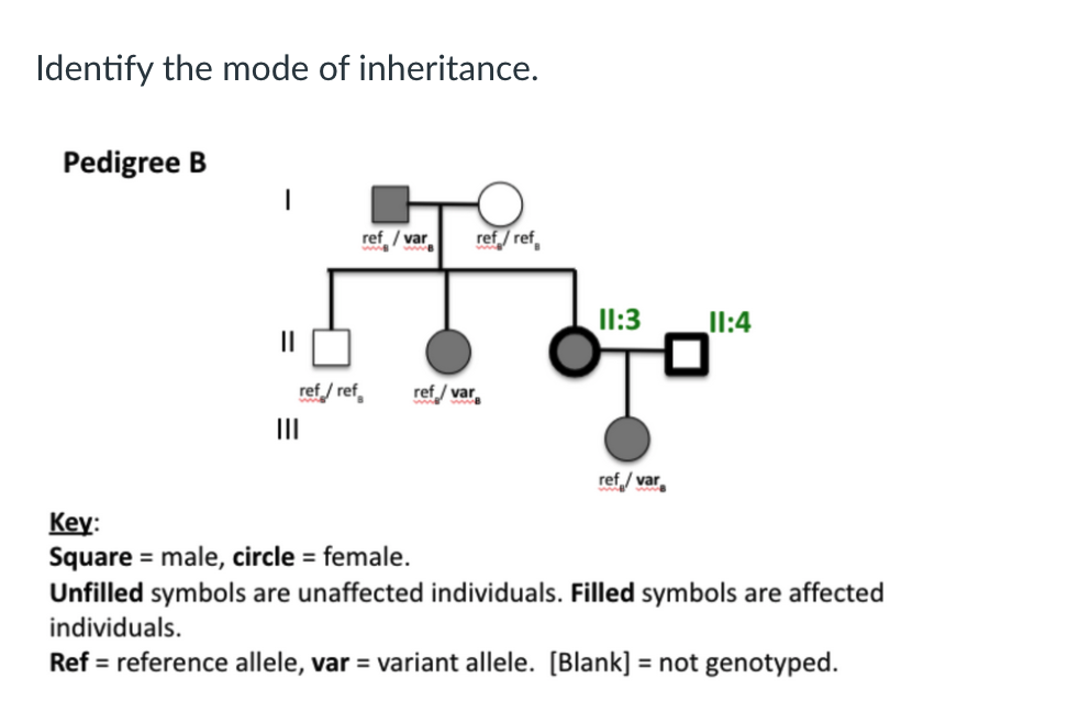 Solved Identify the mode of inheritance. Pedigree B Key: | Chegg.com