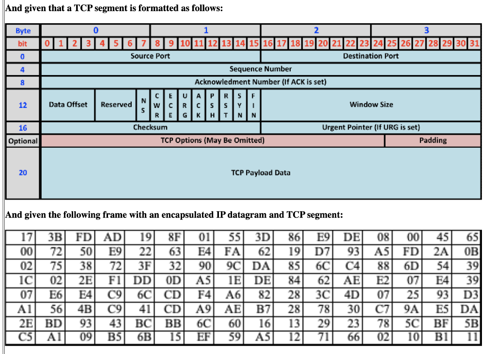 Solved What fragmentation flags are set? What is the | Chegg.com
