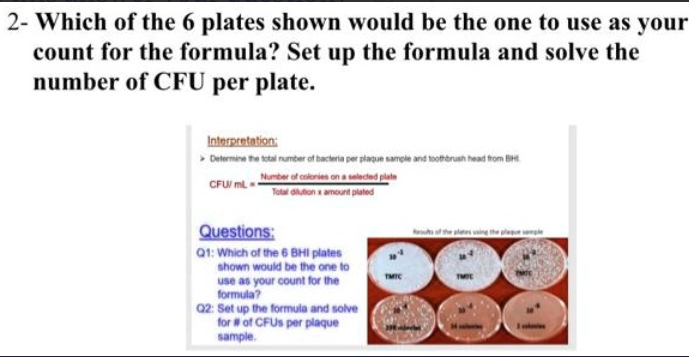 Solved Which of the 6 plates shown would be the one to use | Chegg.com