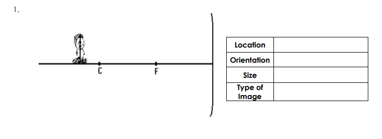 Solved 1. Location Orientation С F Size Type of Image | Chegg.com