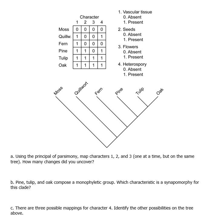 Solved 3. Examine the phylogenetic tree below, which | Chegg.com