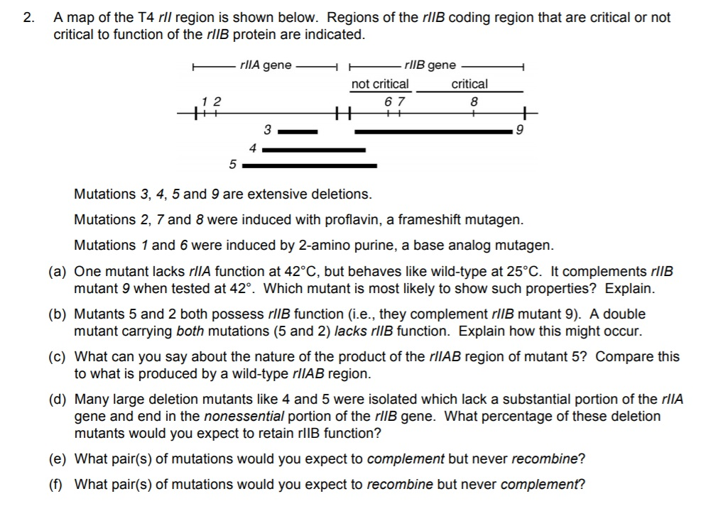 Solved 2. A map of the T4 rll region is shown below. Regions | Chegg.com