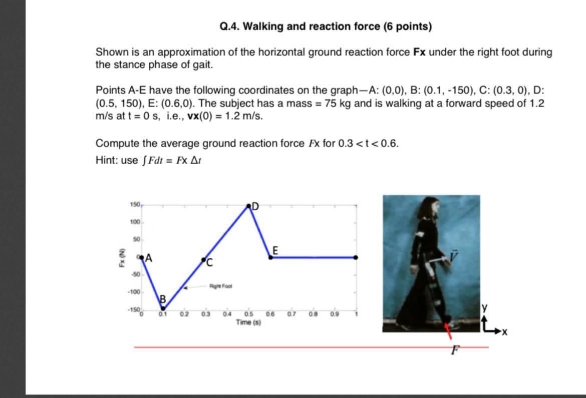 Solved Q.4. Walking and reaction force (6 points) Shown is | Chegg.com