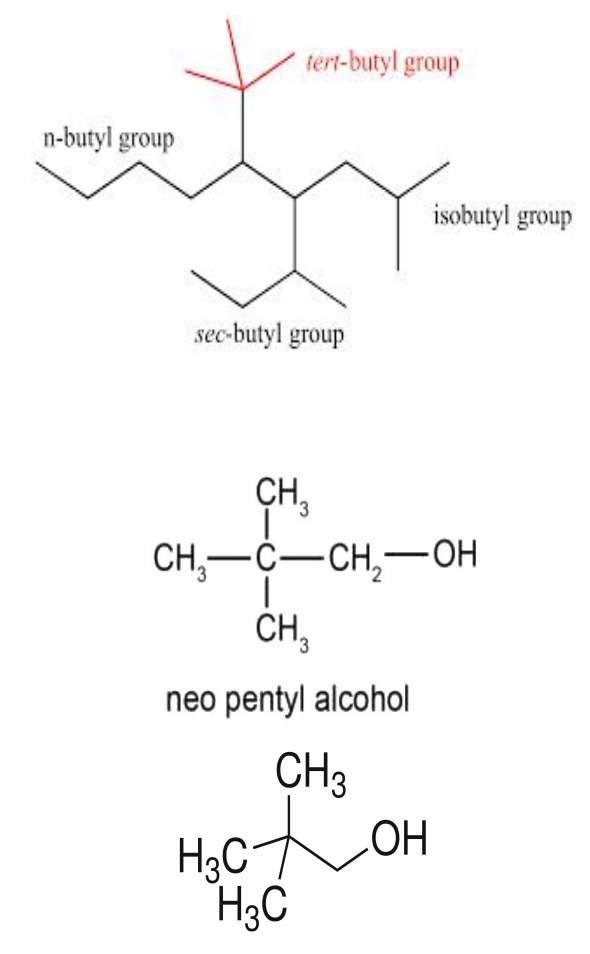 Solved −N¨(H,R)2 हो ξF¨:−c¨∣: - Br¨:−i¨ :neo pentyl alcohol | Chegg.com